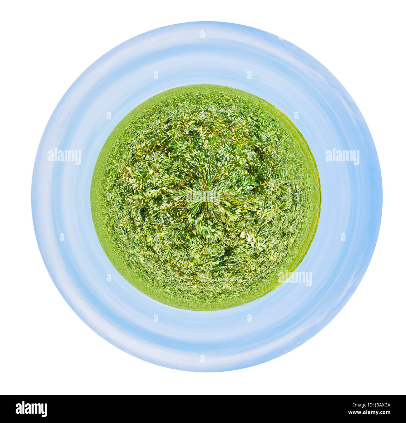 Green agricultural landscape blue Cut Out Stock Images & Pictures - Alamy