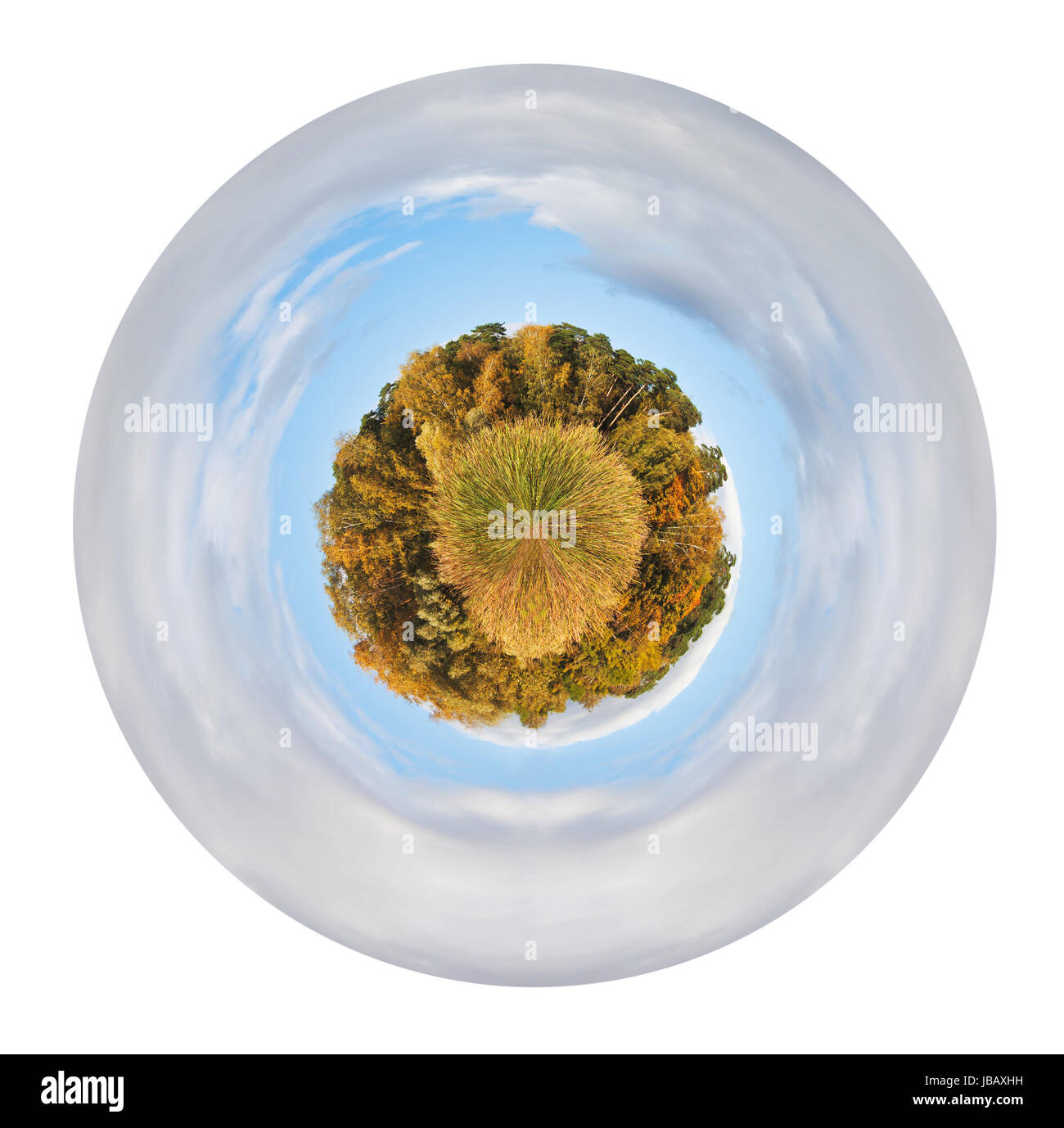 Autumn view field forest Cut Out Stock Images & Pictures - Alamy