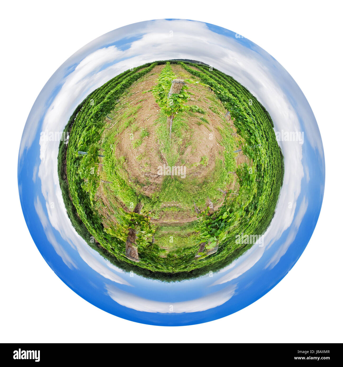 View on olive field Cut Out Stock Images & Pictures - Alamy