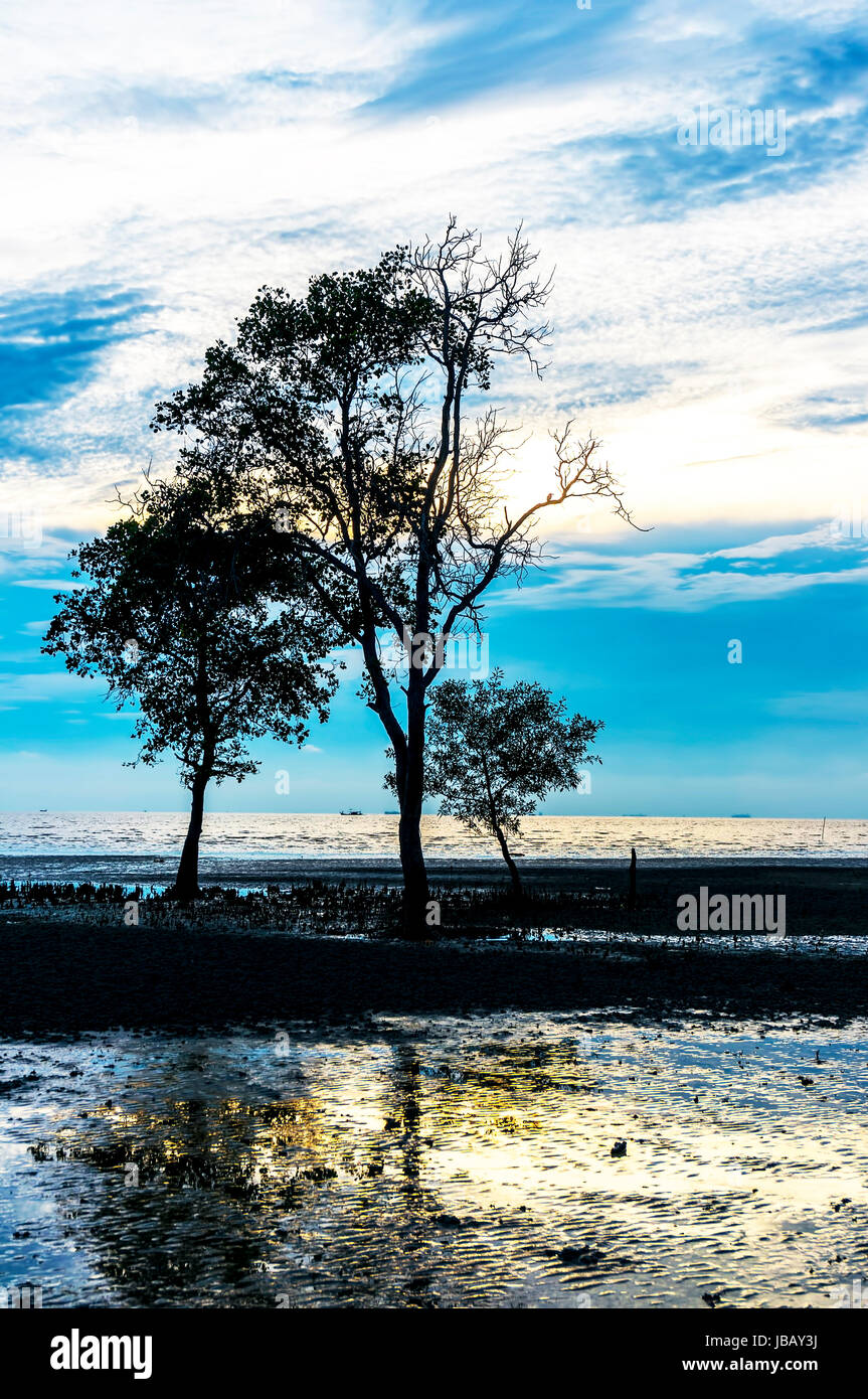salt water sea Stock Photo - Alamy