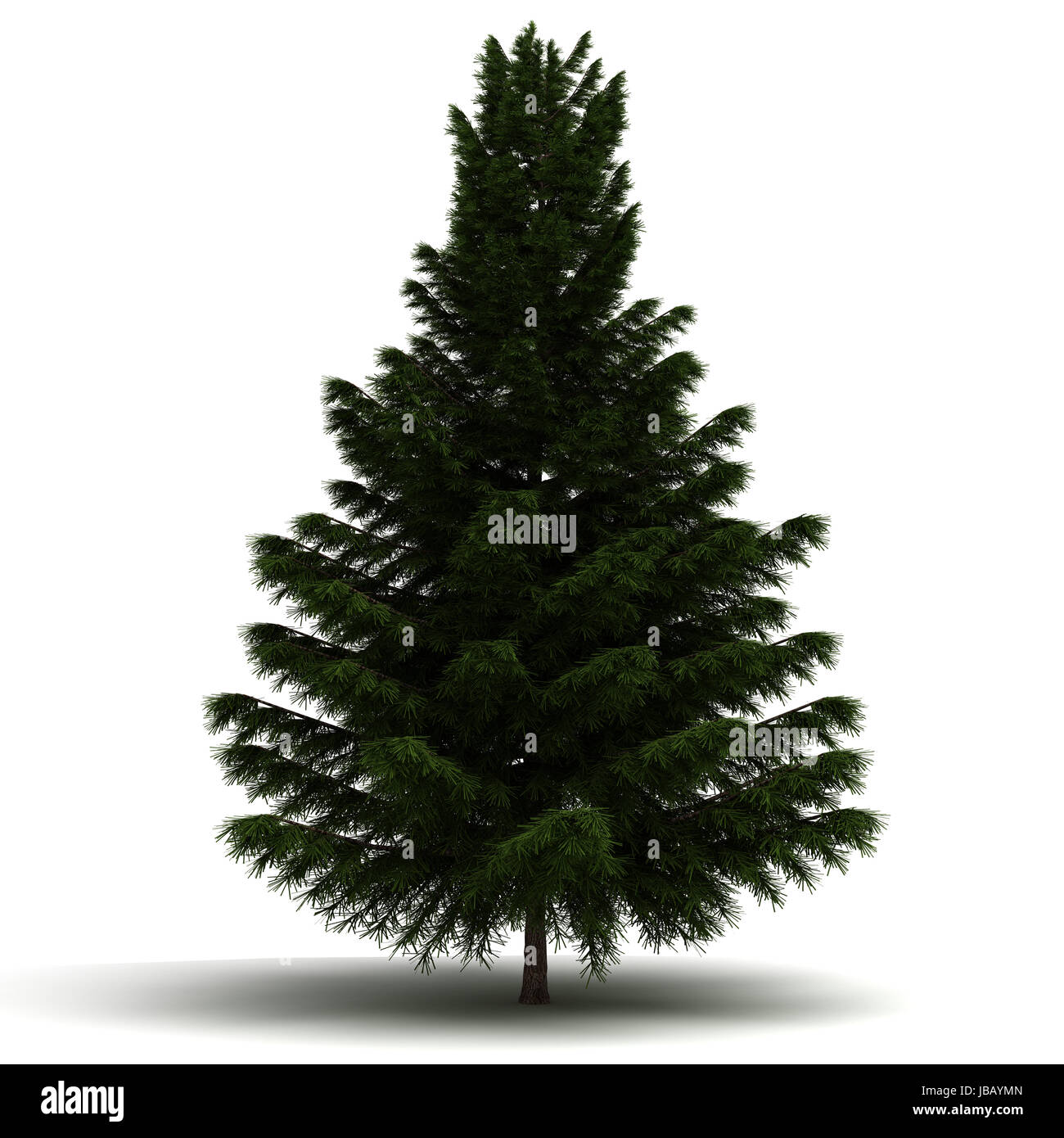 Single Pine Tree Stock Photo - Alamy