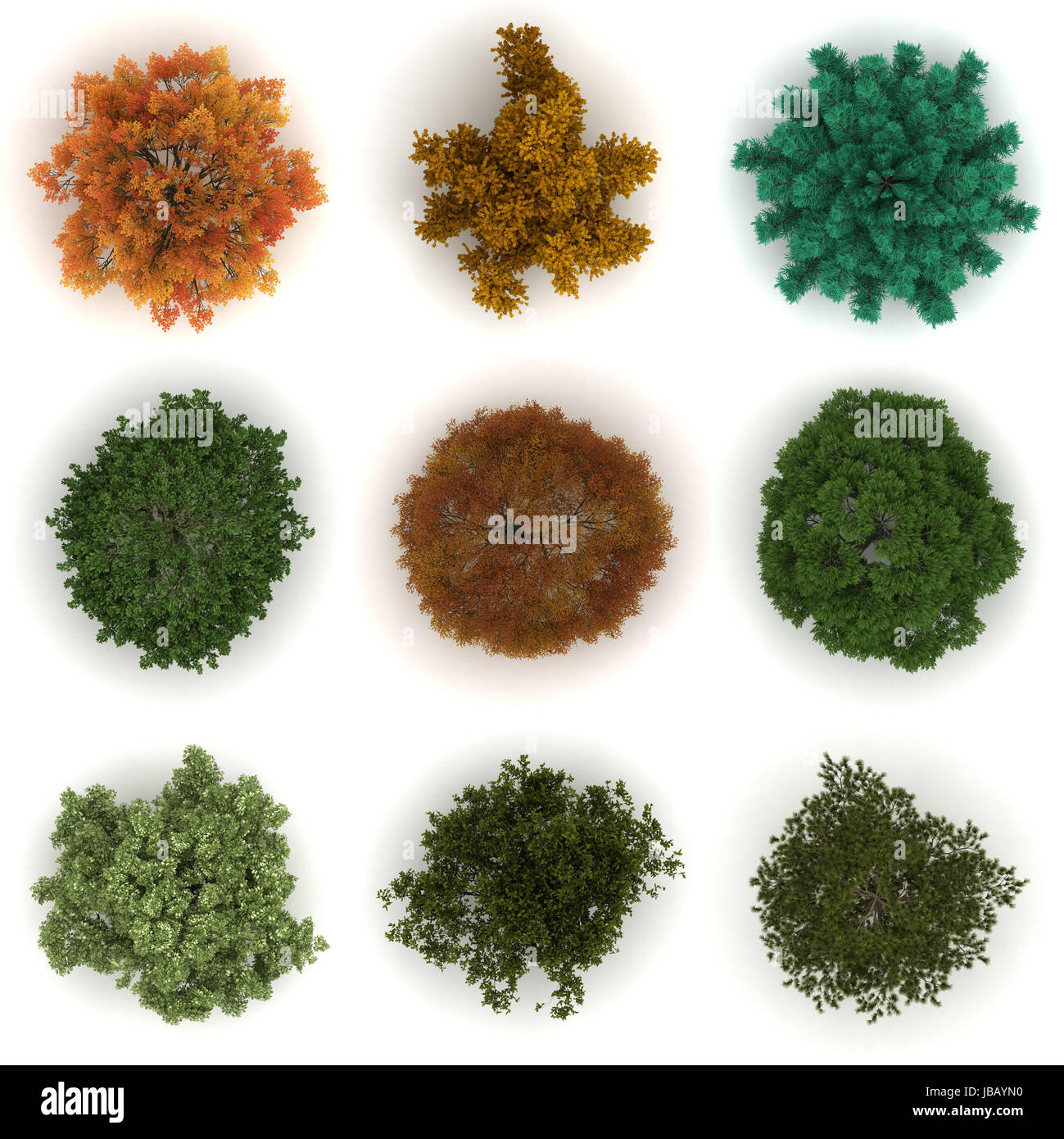 Different trees from top view Stock Photo - Alamy
