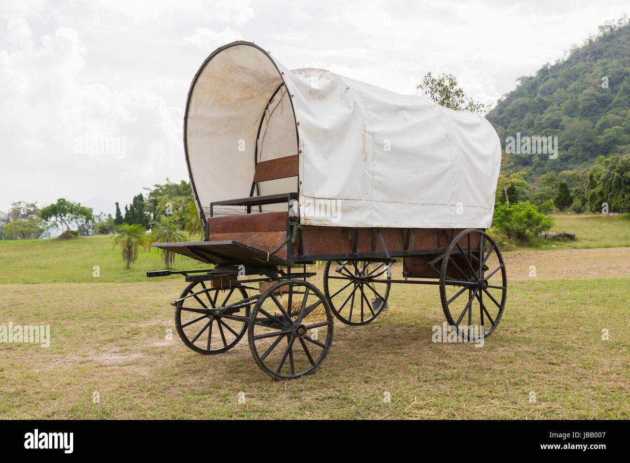 Covered wagon with white top in park Stock Photo - Alamy