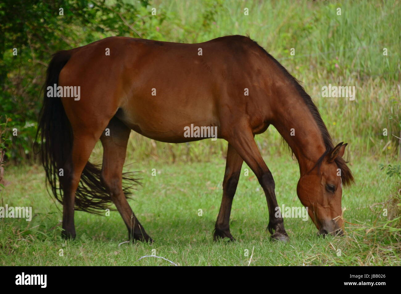 Gransen hi-res stock photography and images - Alamy