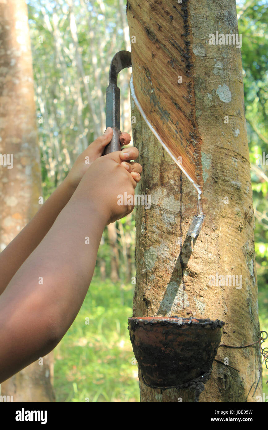 Tapping knife hi-res stock photography and images - Alamy