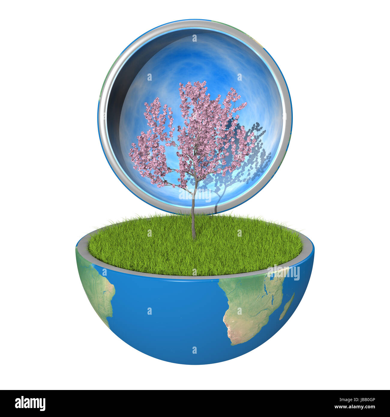 Flowering tree growing inside opened planet Earth, isolated on white ...