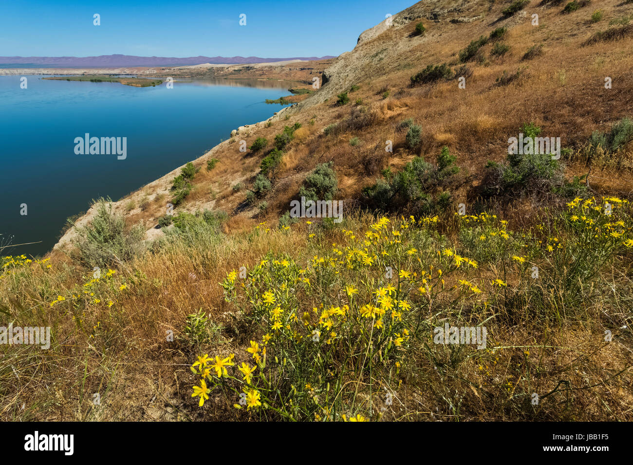 Bluff along the trail to White Bluffs along the Columbia River in ...