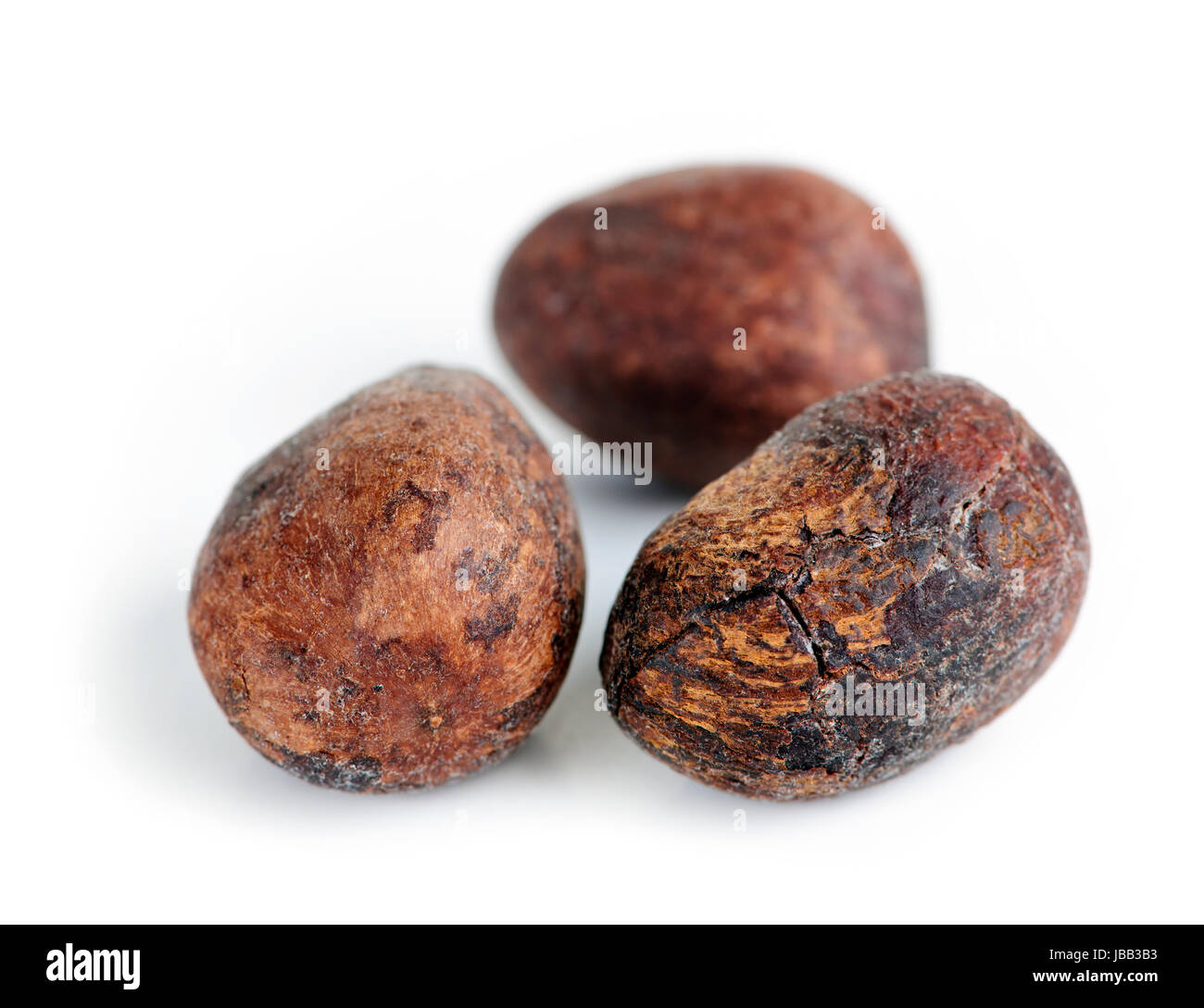 Raw unprocessed shea nuts isolated on white background Stock Photo - Alamy
