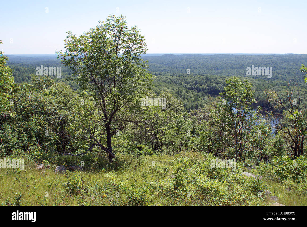 Lanark highlands hi-res stock photography and images - Alamy