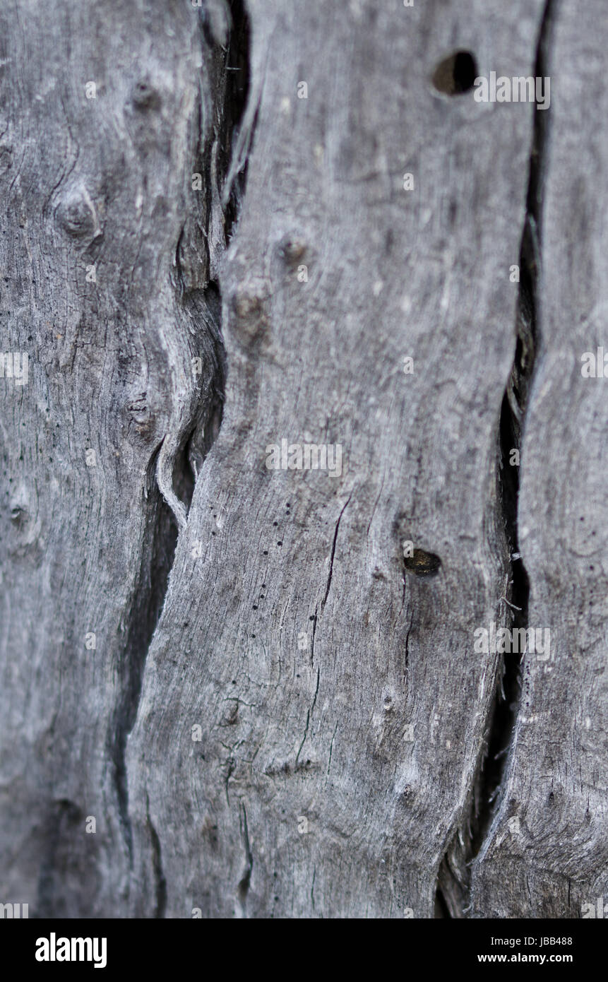 Nature Abstract – Naturally Weathered Wood Stock Photo - Alamy