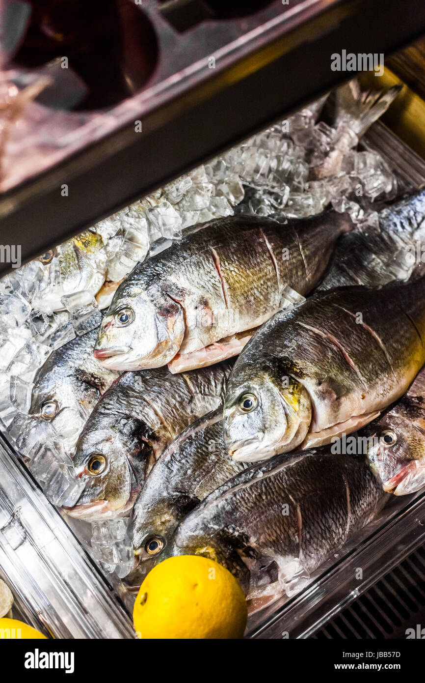 Raw Fish Counter in a Portuguese restaurant Stock Photo - Alamy