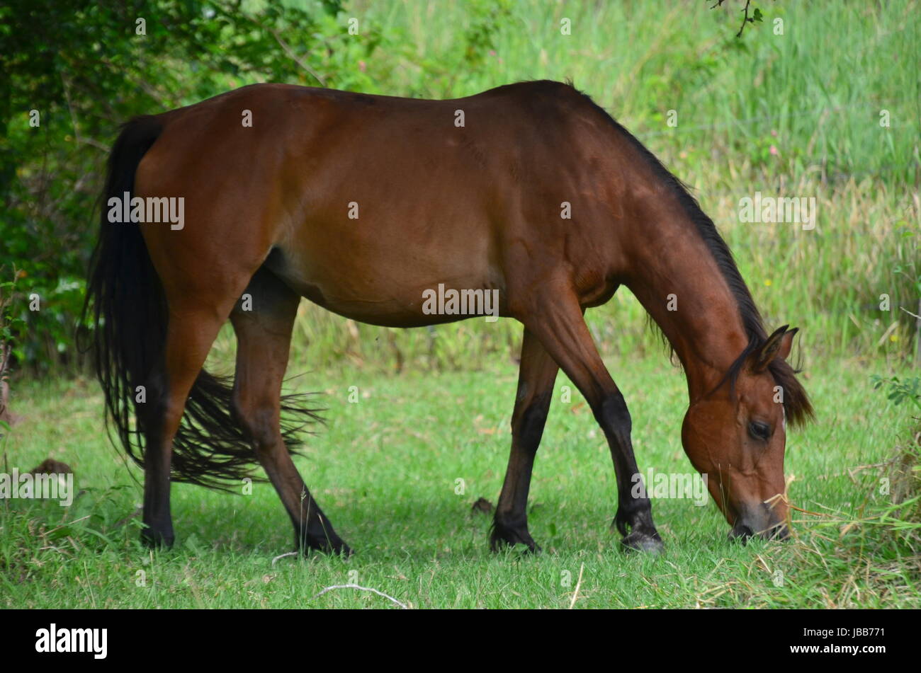 Gransen High Resolution Stock Photography and Images - Alamy
