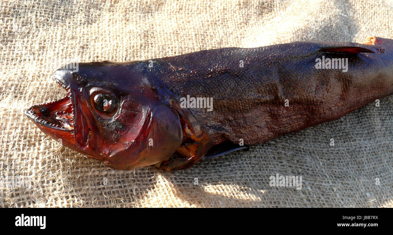 Smokes fish hi-res stock photography and images - Alamy