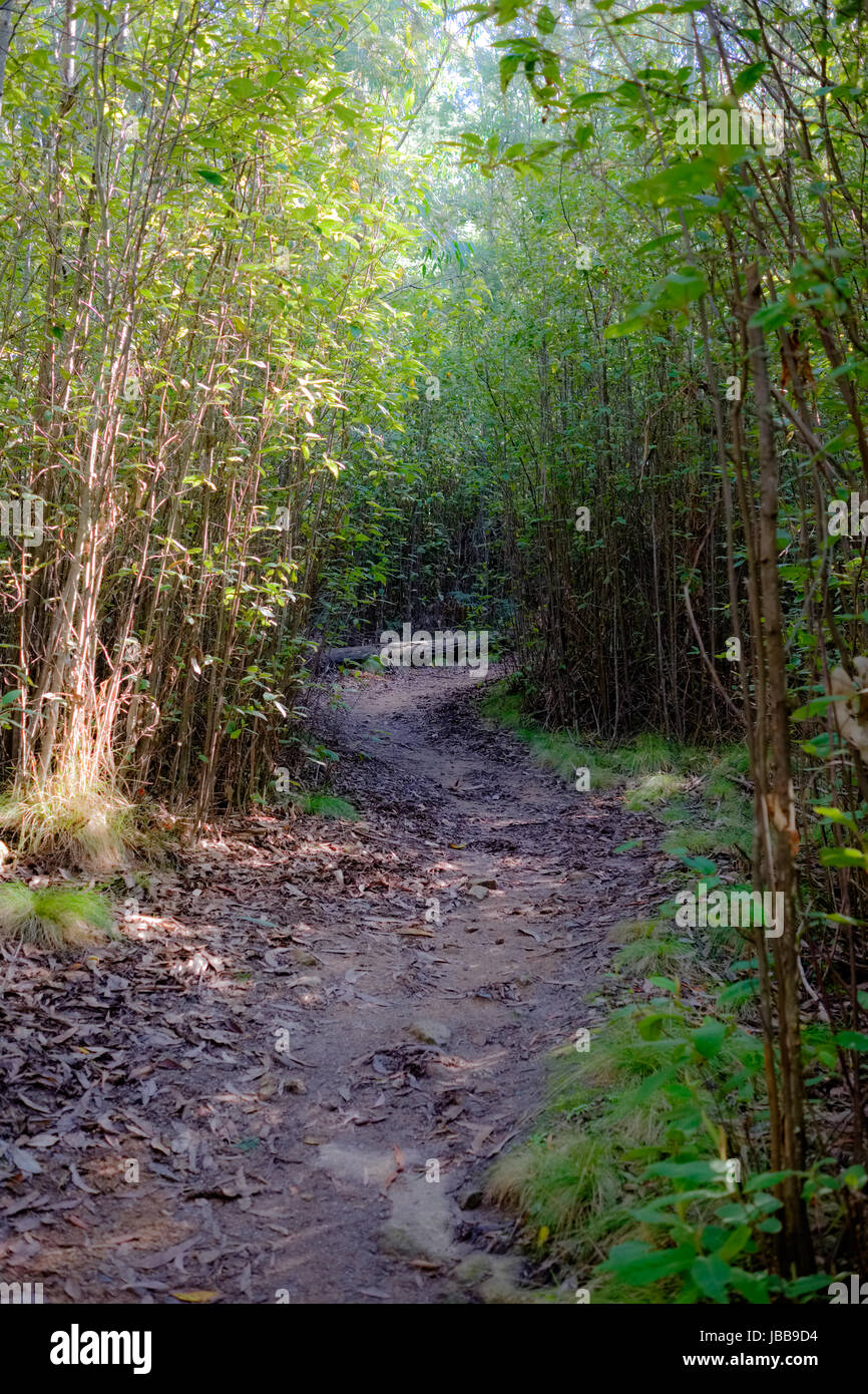 Tidbinbillanaturereserve hi-res stock photography and images - Alamy