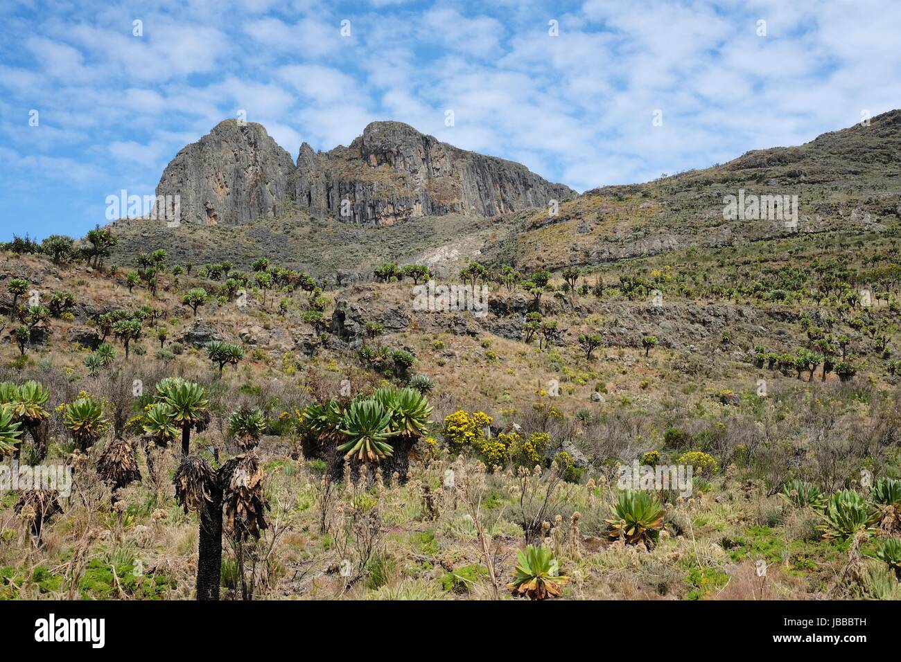 Mount elgon hi-res stock photography and images - Alamy