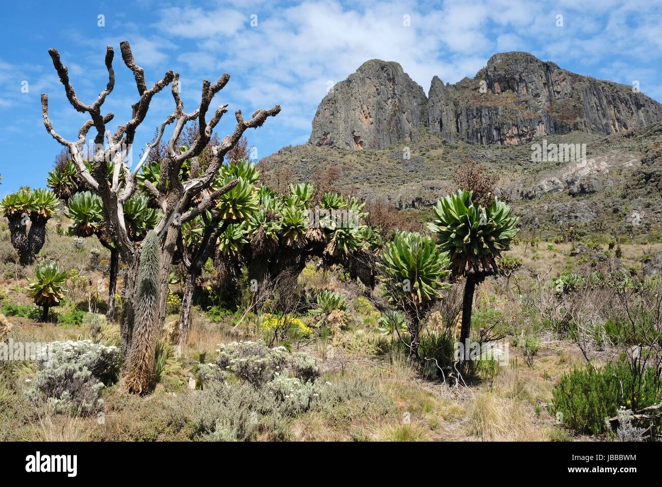 Mt elgon hi-res stock photography and images - Alamy