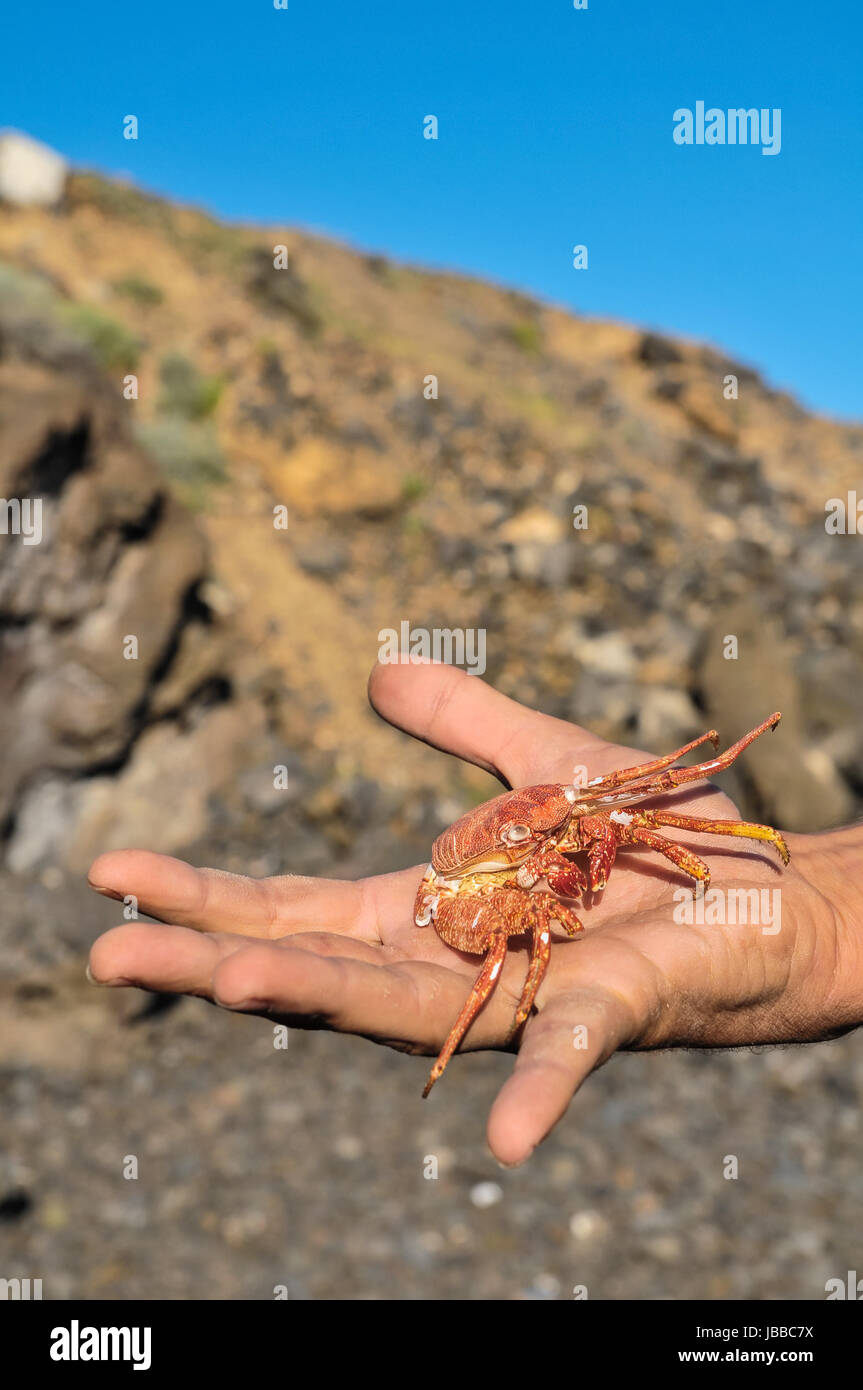 Humen leg hi-res stock photography and images - Alamy