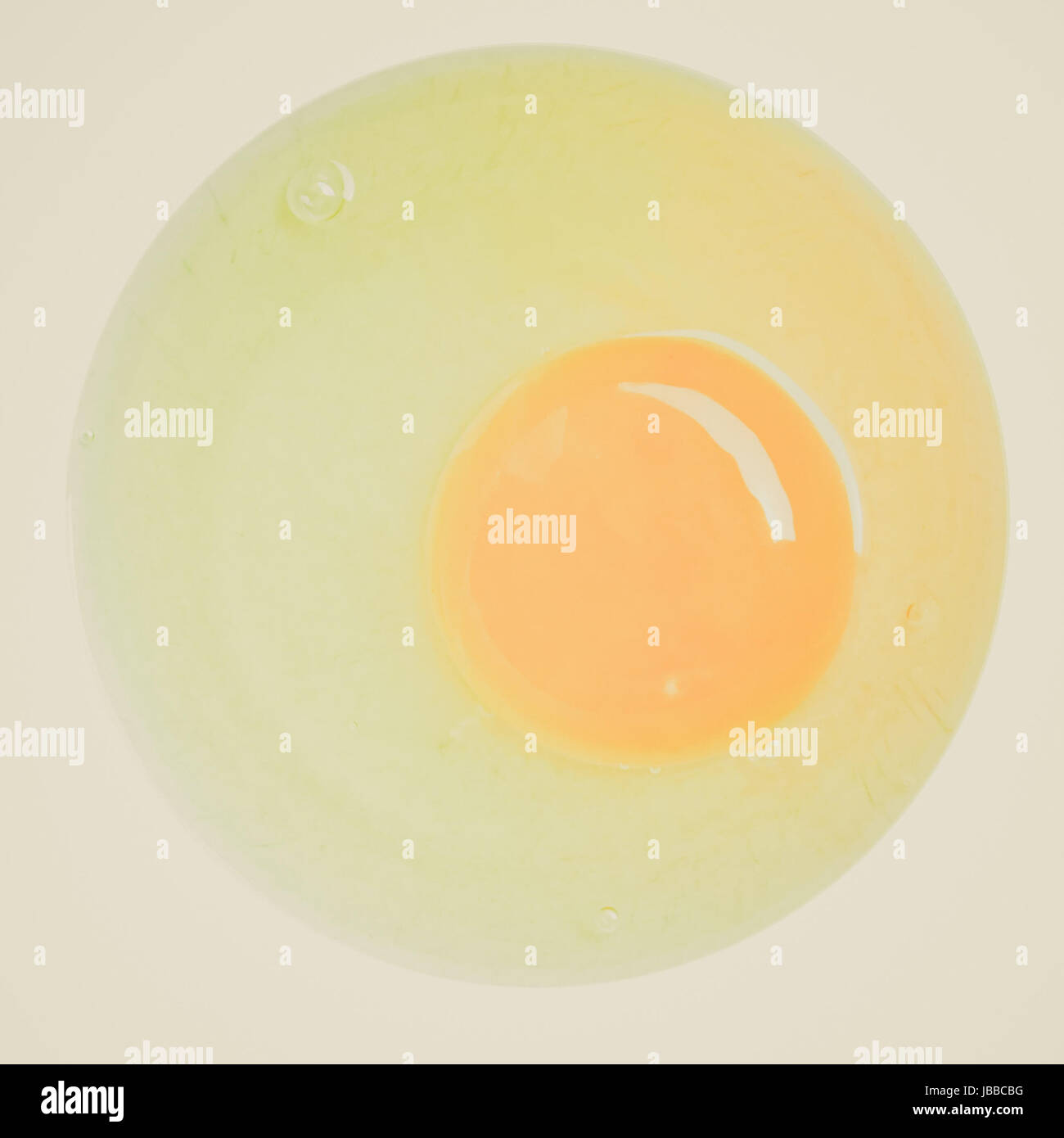 Vintage retro looking Egg picture Stock Photo - Alamy