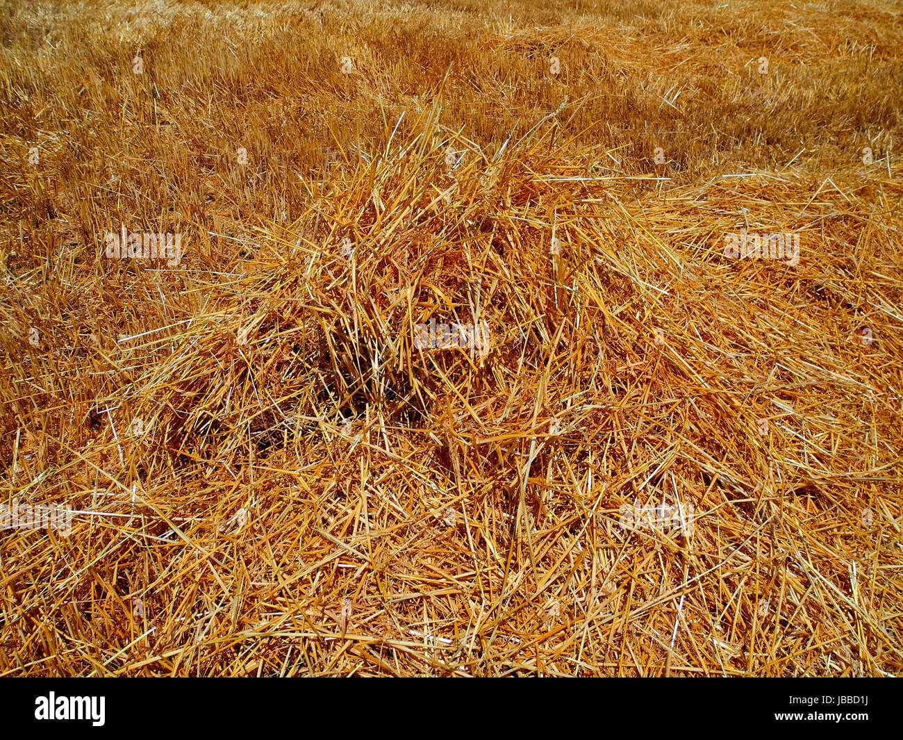 Cereal straws hi-res stock photography and images - Alamy