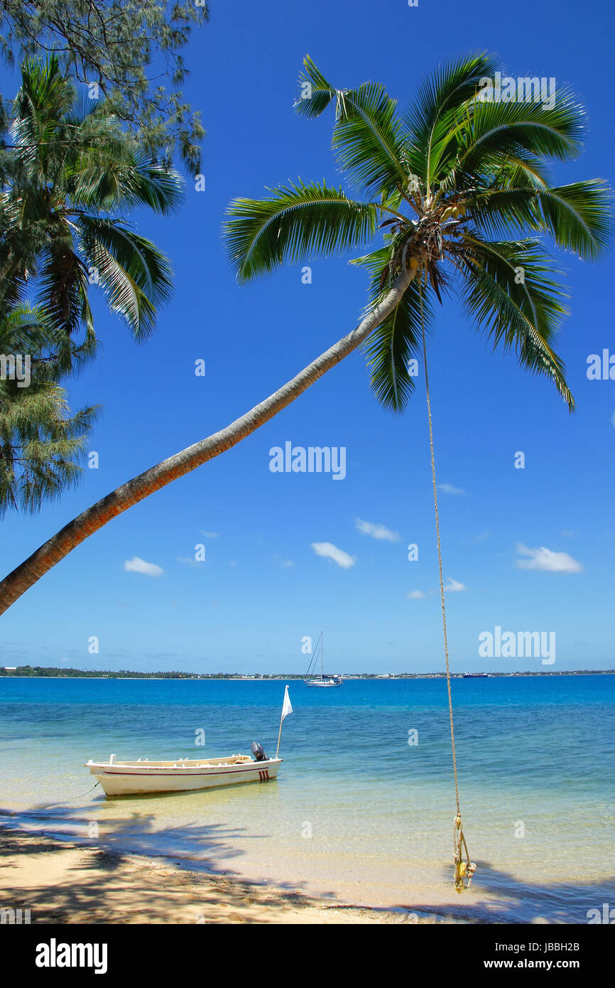 Leaning palm tree with rope swing at Pangaimotu island near Tongatapu ...
