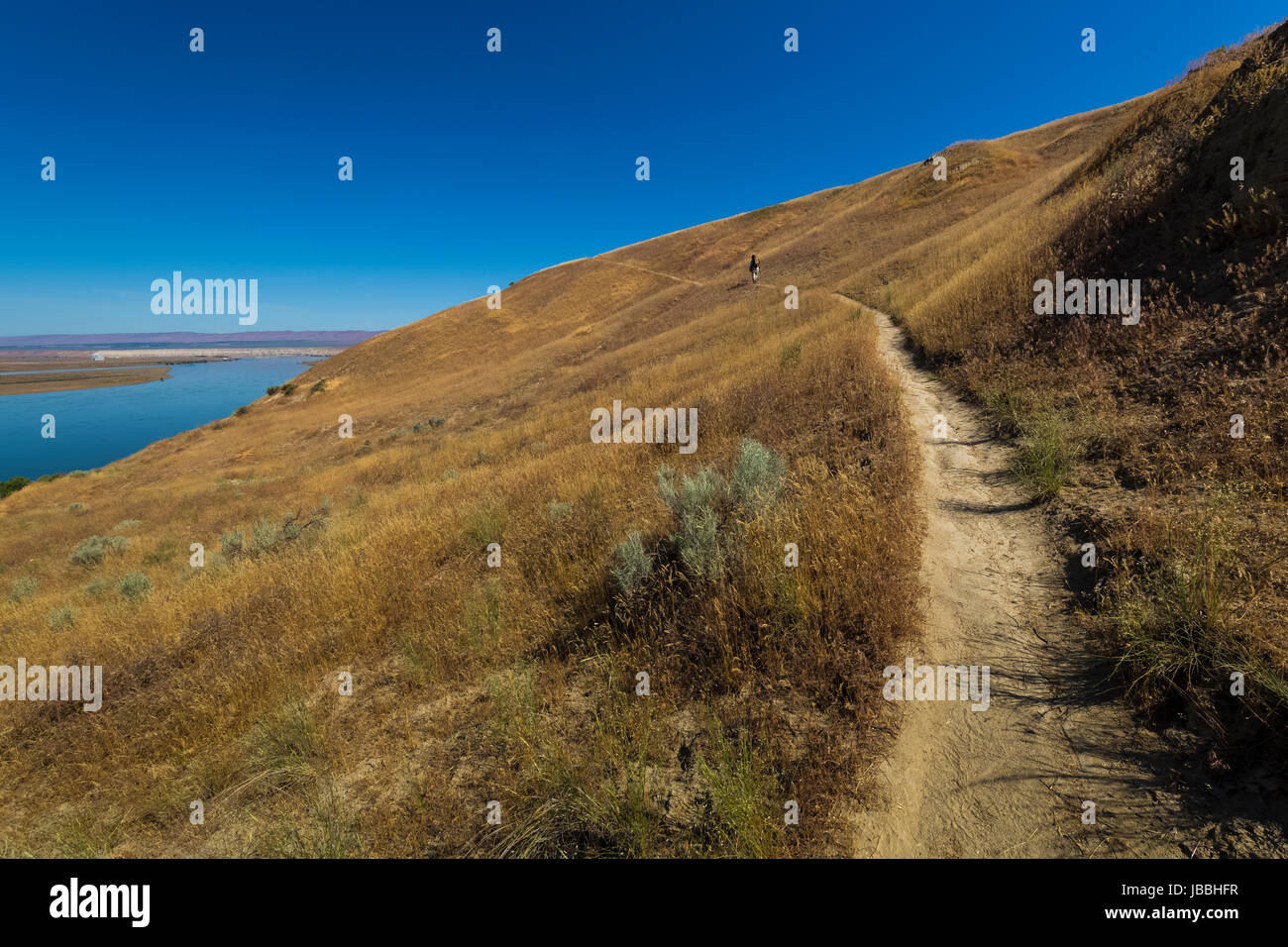 Hiker along the route to White Bluffs in Hanford Reach National ...