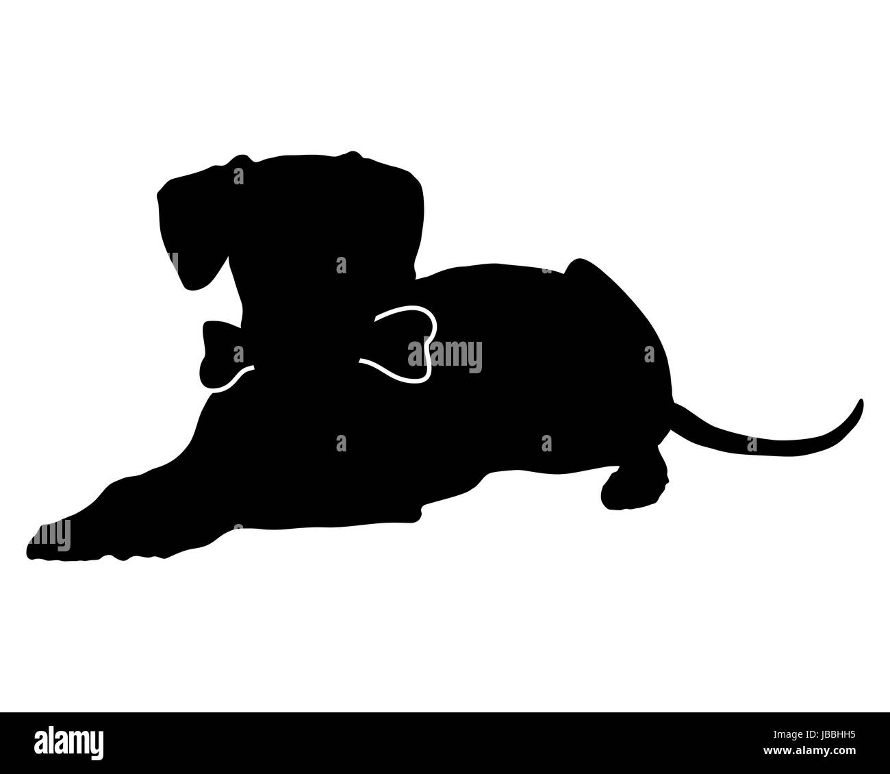 Hund mit Knochen Stock Photo - Alamy