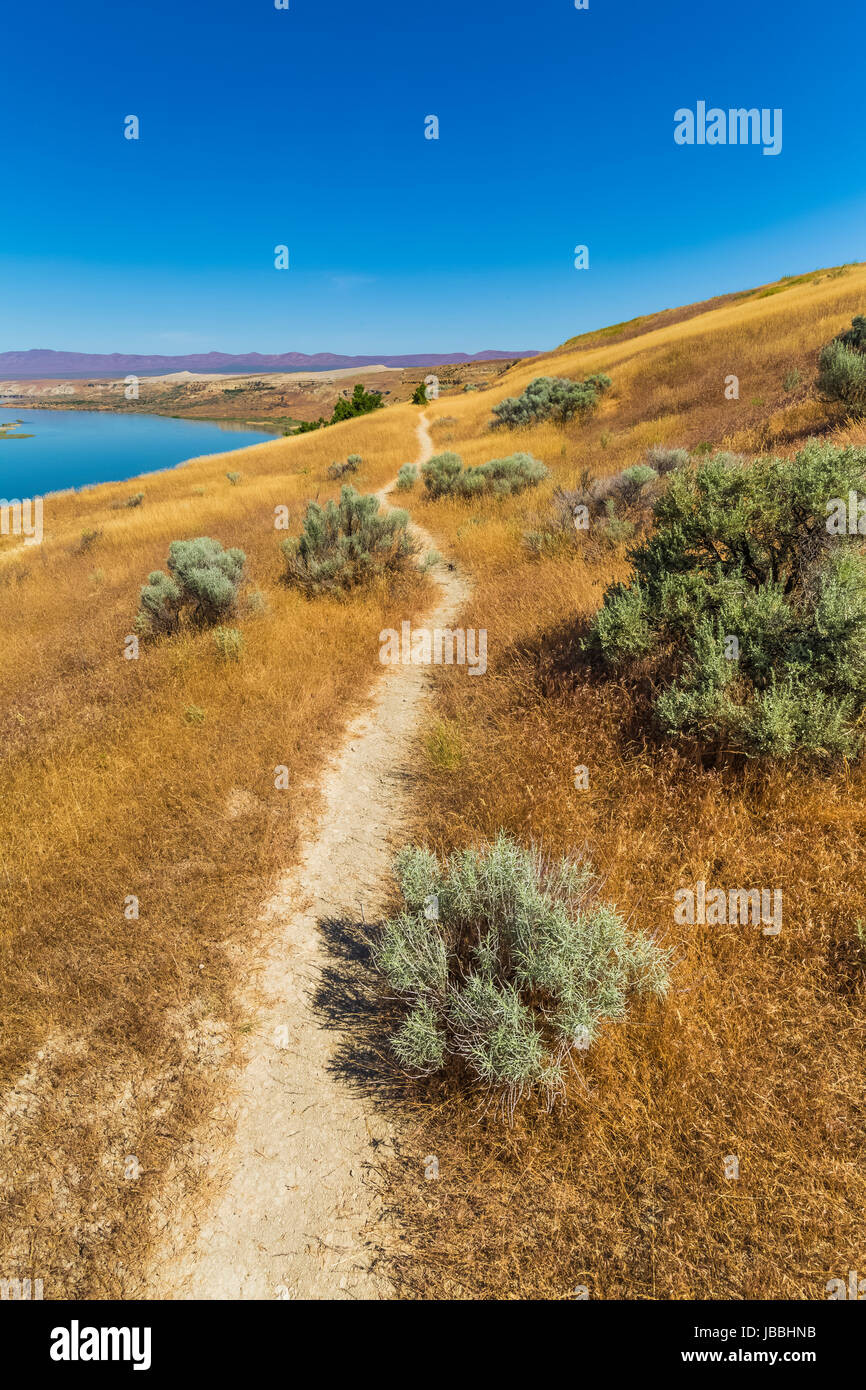 Trail leading to White Bluffs in Hanford Reach National Monument ...