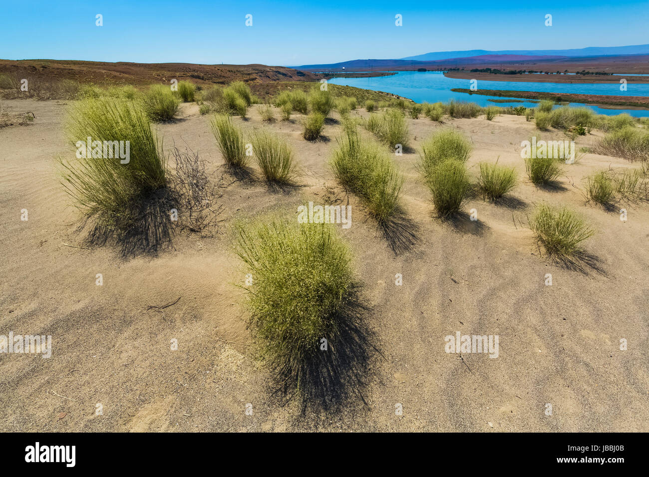 Sand dunes near the White Bluffs in Hanford Reach National Monument ...
