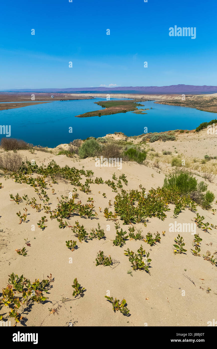 Sand dunes near the White Bluffs in Hanford Reach National Monument ...