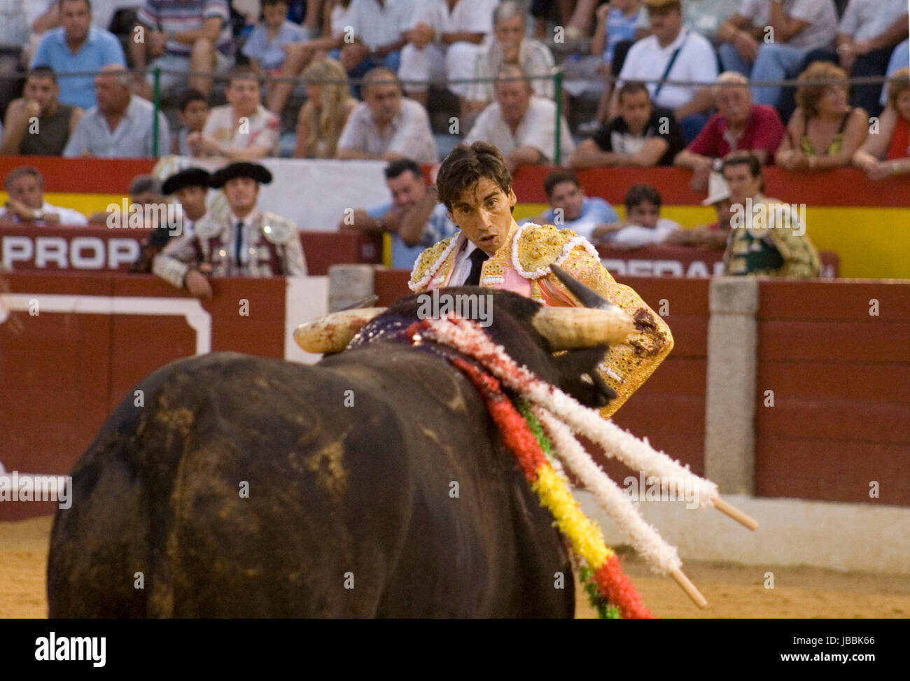 ALMENDRALEJO, SPAIN, AUGUST 15: The spanish torero Curro Diaz ...