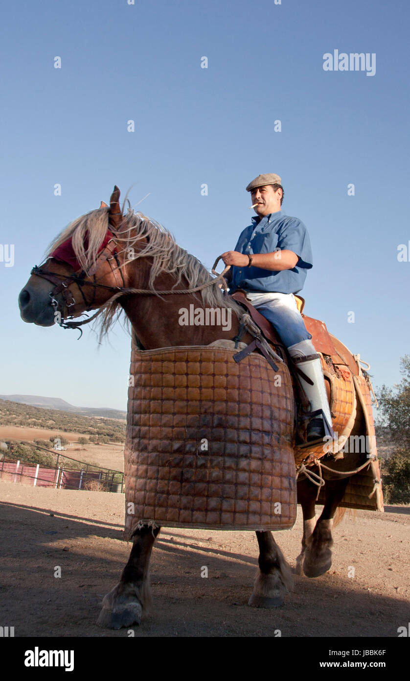 Bullfight training hi-res stock photography and images - Alamy