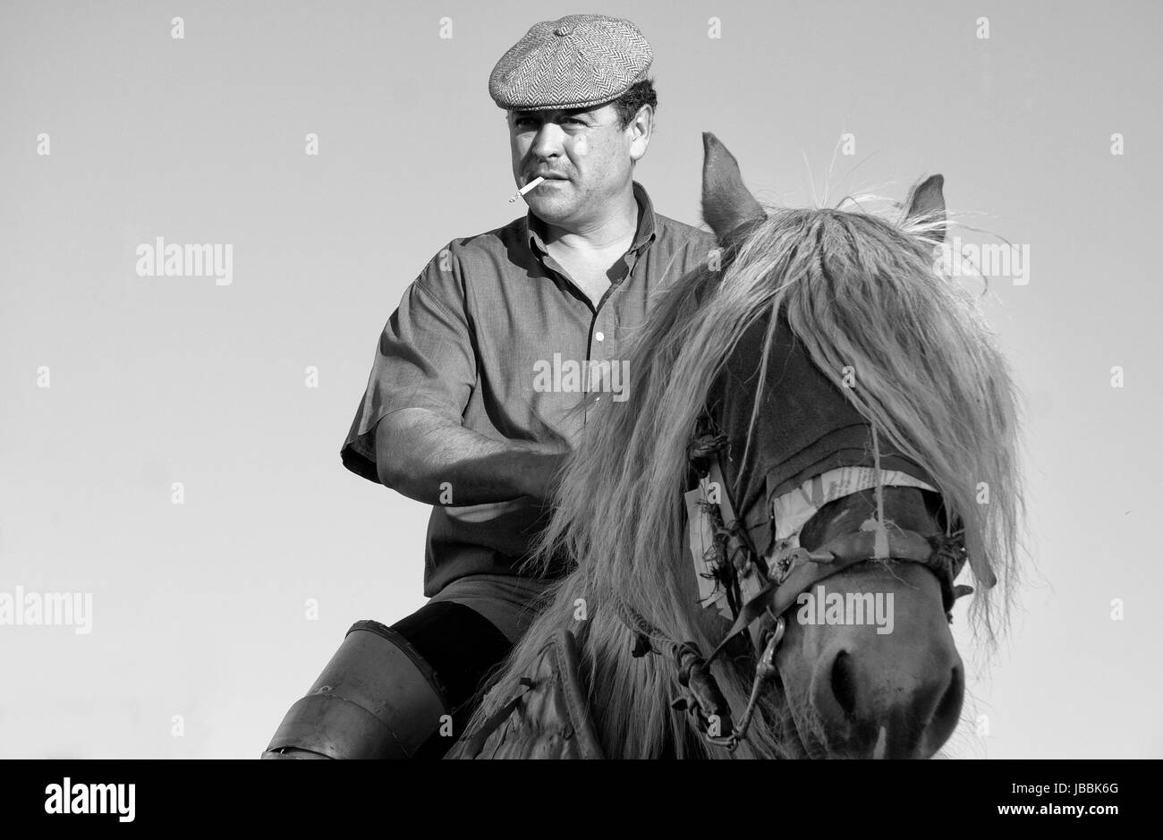 Training bullfight day in order to select animals for breed braves ...