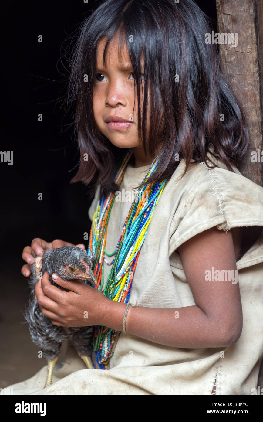 Wiwa tribe hi-res stock photography and images - Alamy