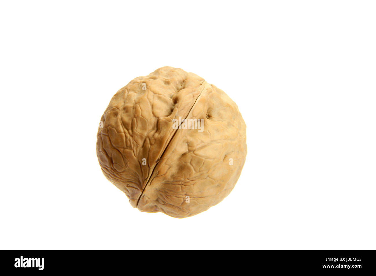 close up of one walnut isolated on the white background Stock Photo - Alamy