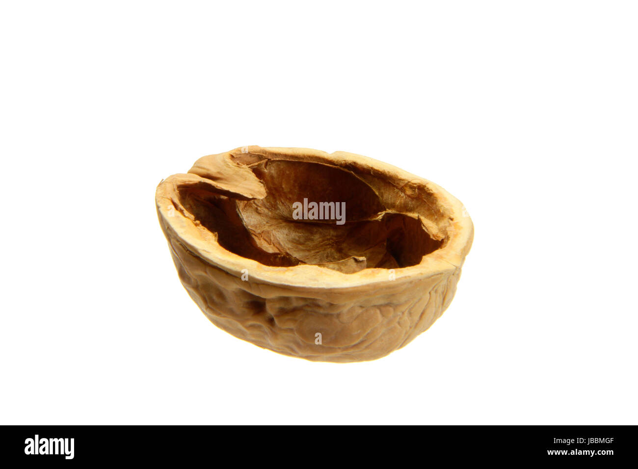 one shell of walnut isolated on the white background Stock Photo - Alamy