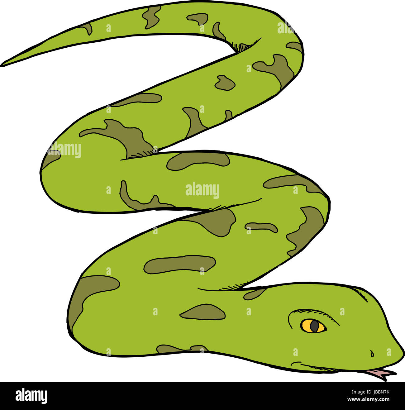 Isolated green snake over isolated white background Stock Photo - Alamy