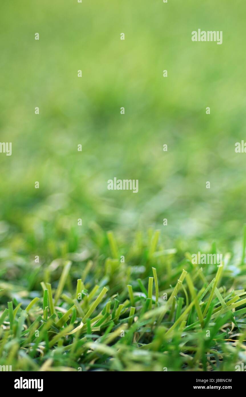 Seamless astro turf texture hi-res stock photography and images - Alamy