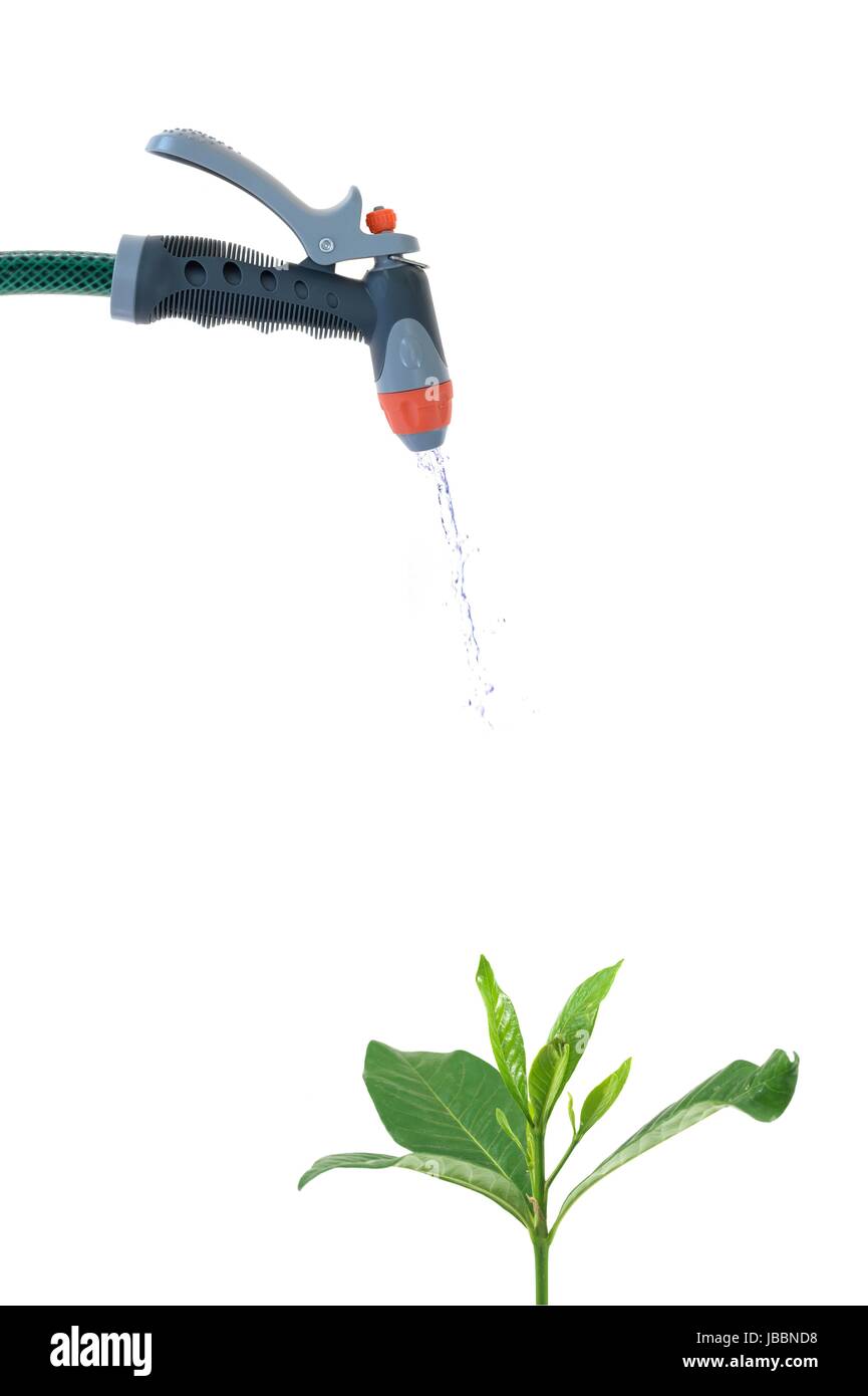 A close up image of a garden hose Stock Photo - Alamy