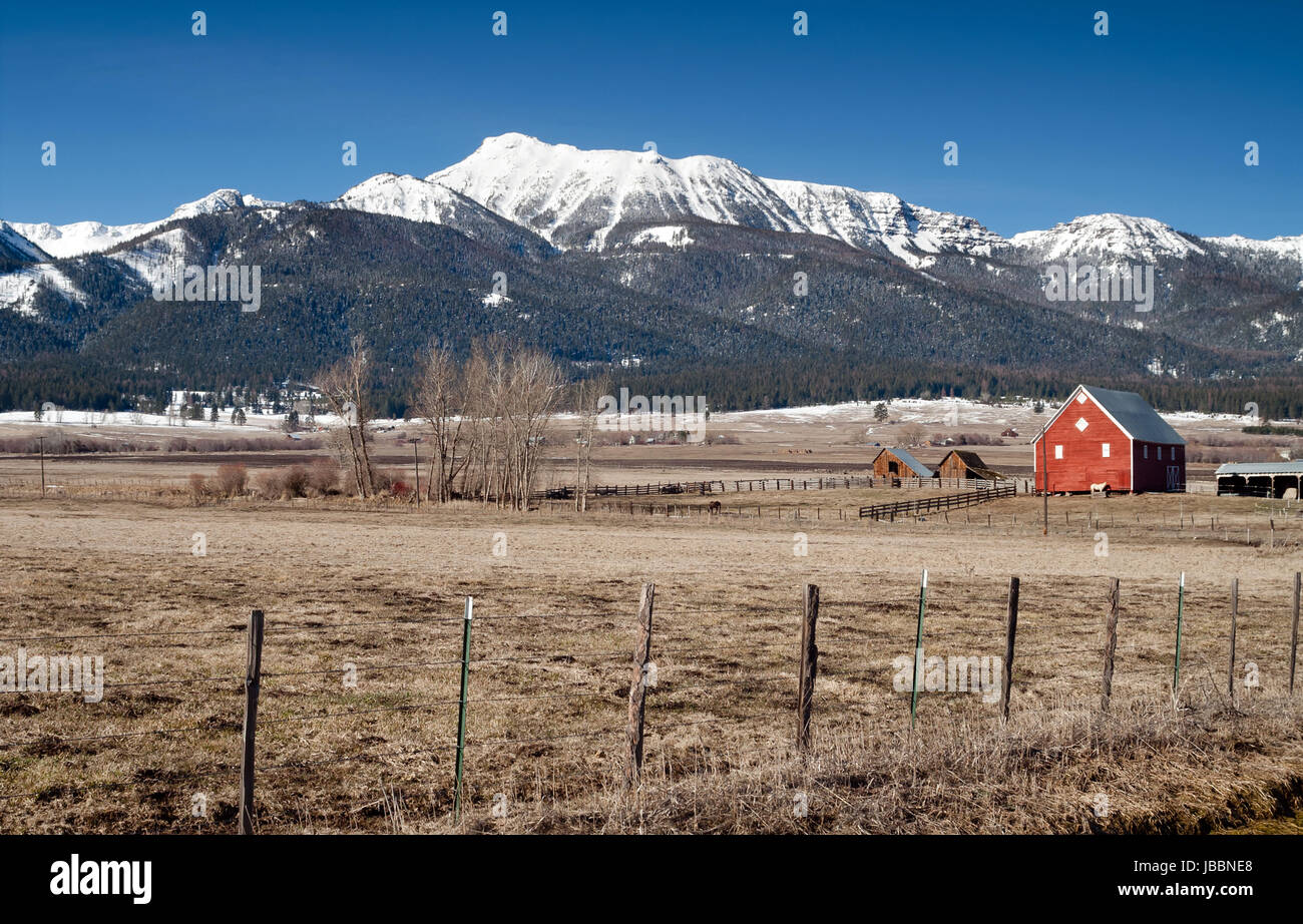 Red Barn Shelters Old Mare on Horse Ranch Stock Photo - Alamy