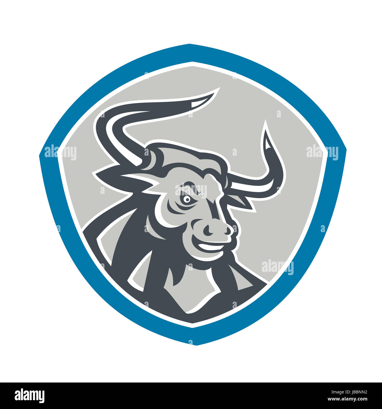 Texas longhorn bull head front hi-res stock photography and images - Alamy