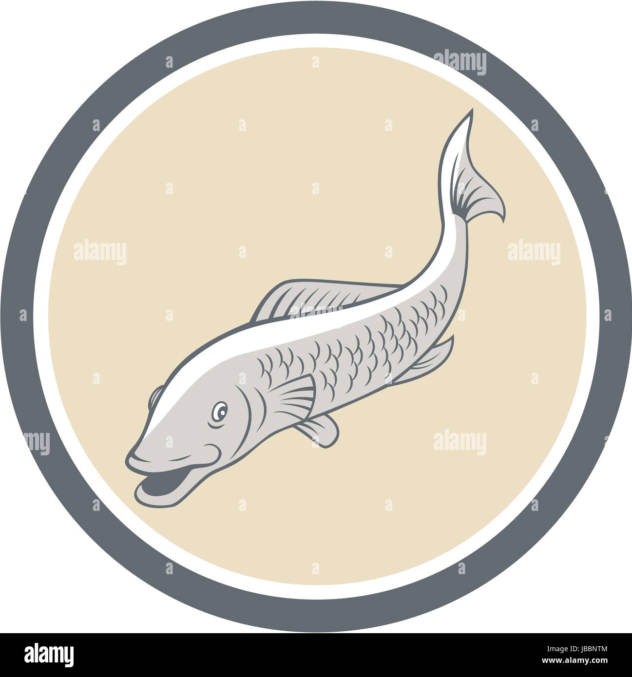 Illustration of a trout fish swimming set inside circle on isolated ...