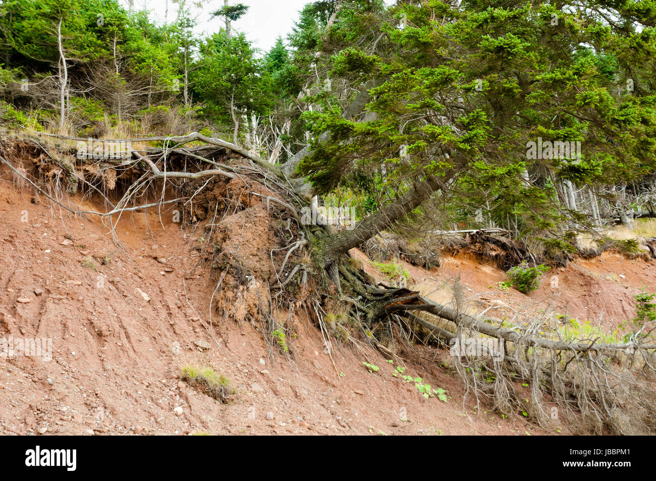 Landslide prevention hi-res stock photography and images - Alamy