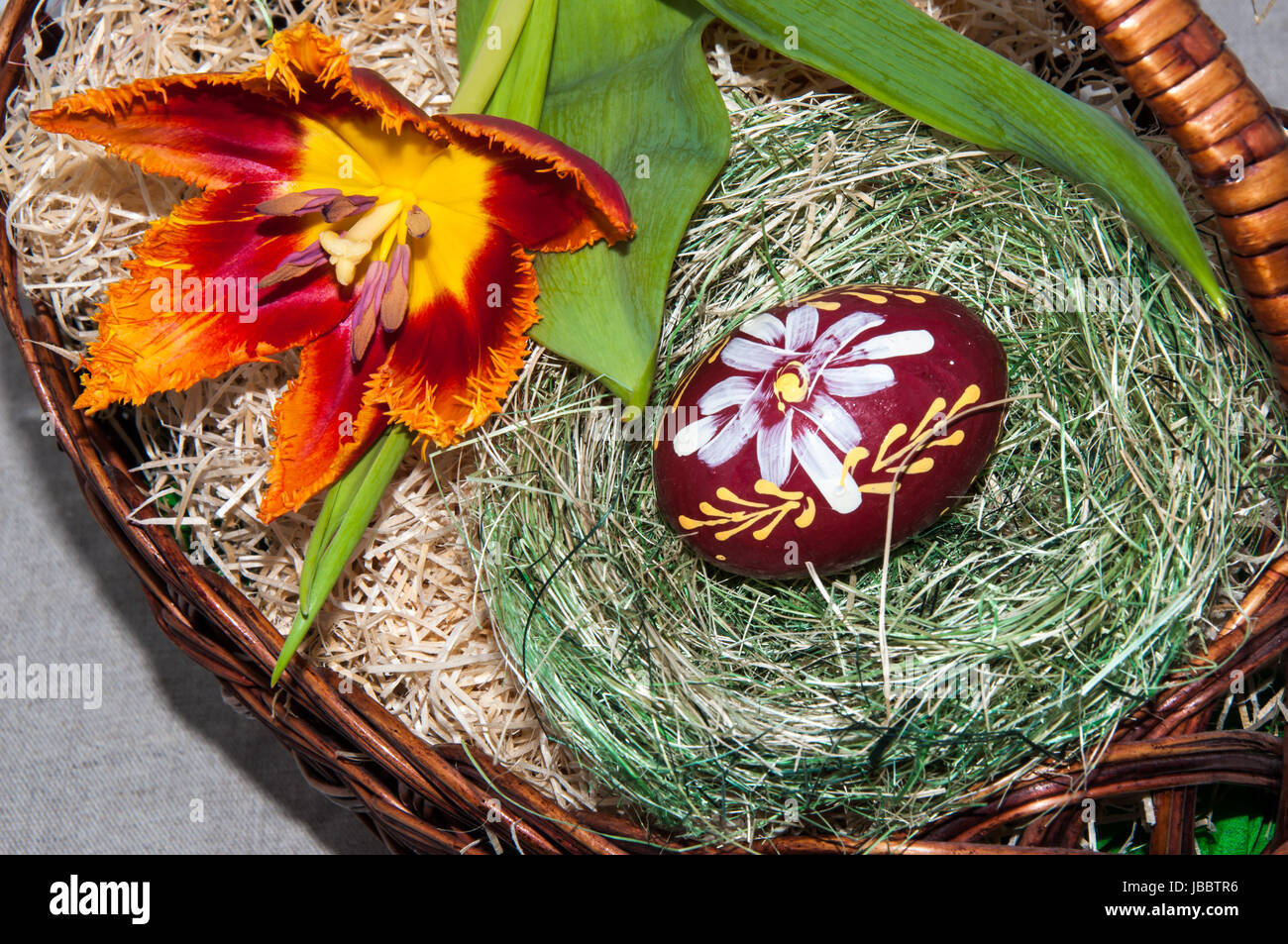 Tulip and Easter egg for the feast of the radiant resurrection of ...