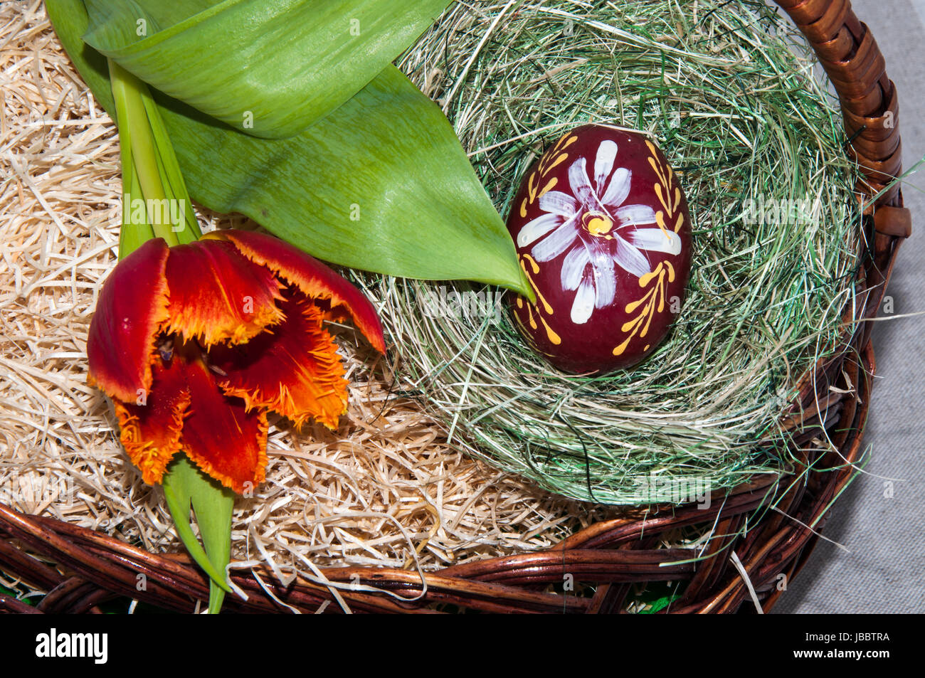Tulip and Easter egg for the feast of the radiant resurrection of ...