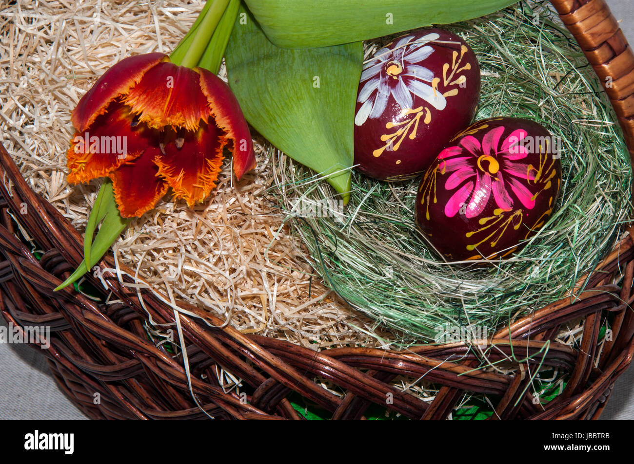 Tulip and Easter egg for the feast of the radiant resurrection of ...