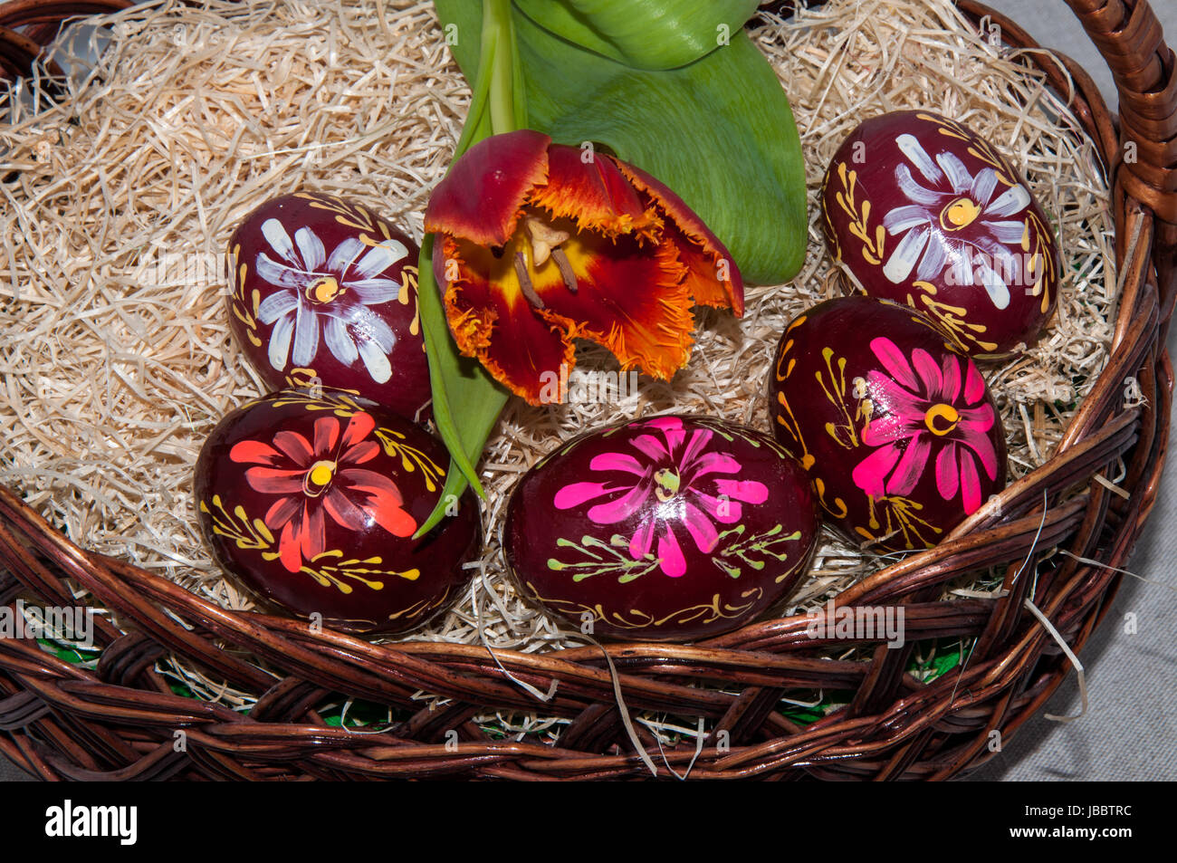 Tulip and Easter egg for the feast of the radiant resurrection of ...