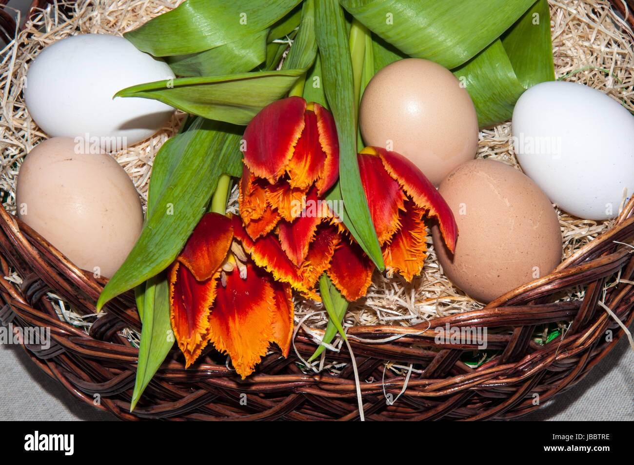 Tulip and Easter egg for the feast of the radiant resurrection of ...