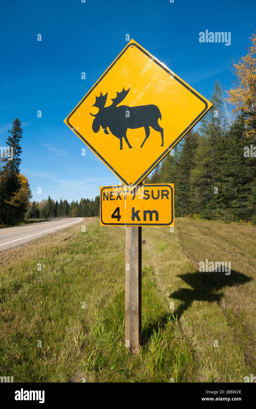 Moose Crossing Sign