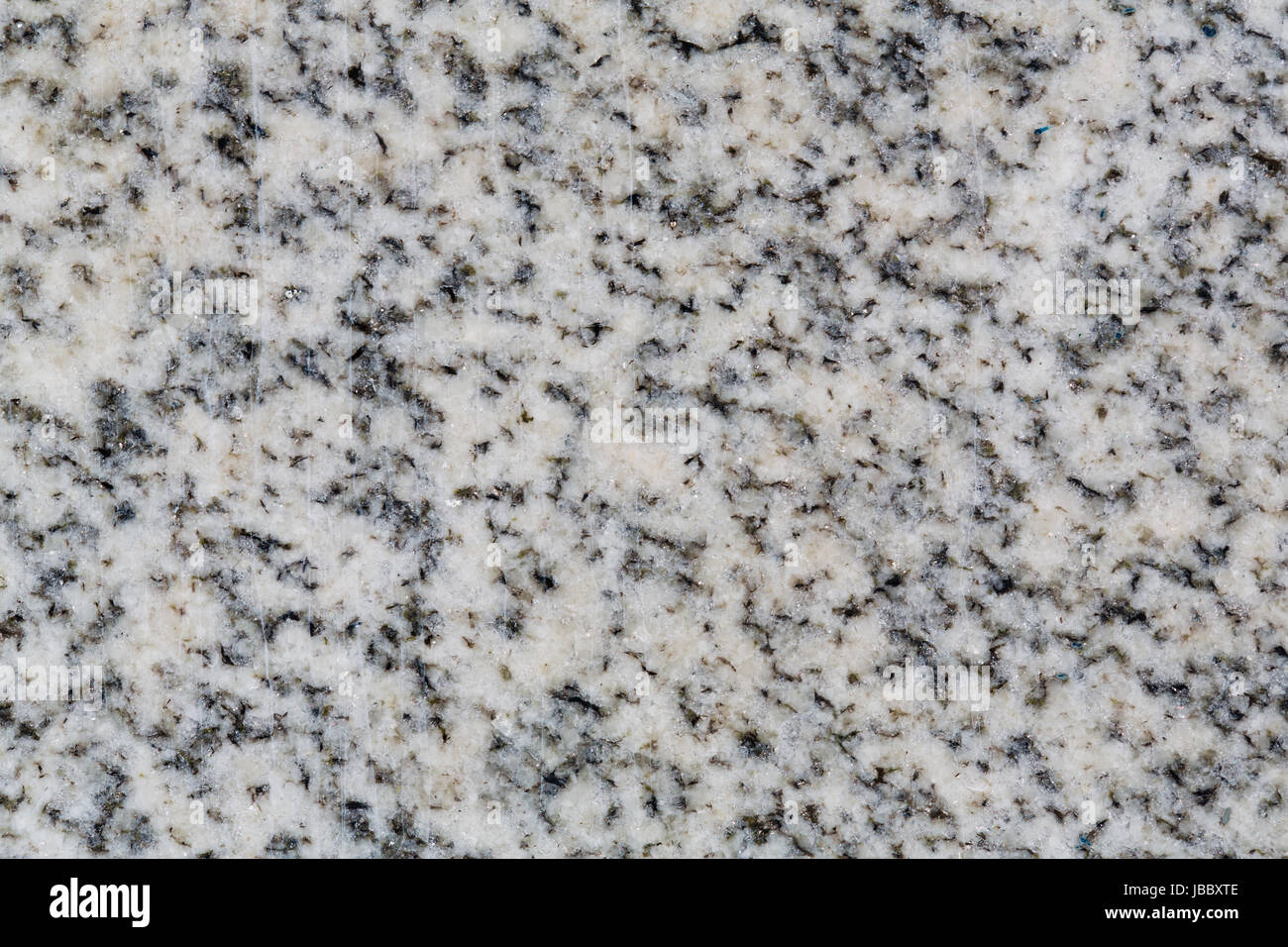 Polished White Granite Texture