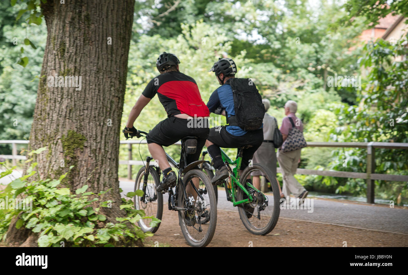 Rear view of cyclist in Hampshire Stock Photo - Alamy